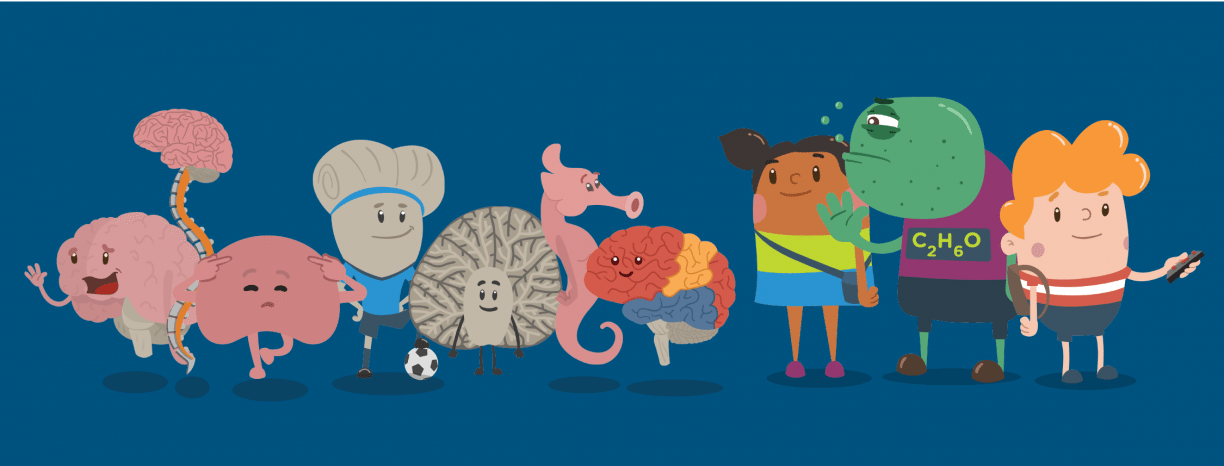 Meet the CEREBRAL CORTEX! – Ask, Listen, Learn