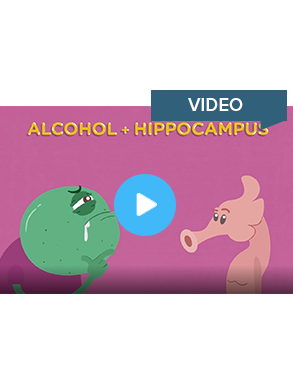 The Science Behind the Effects of Alcohol on Your Brain – Ask, Listen ...
