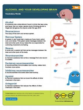 alcohol-and-your-brain-vocabulary – Ask, Listen, Learn