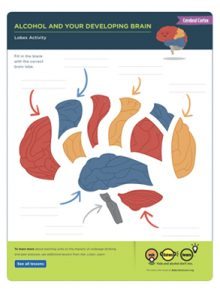cerebral-cortex-lobes-worksheet-blank – Ask, Listen, Learn