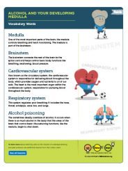 medulla-vocabulary – Ask, Listen, Learn